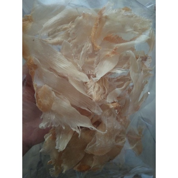Jual Hechi / Sirip Ikan Hiu Kering / Sirip Hiu / Hisit / He Chi / Huchi ...