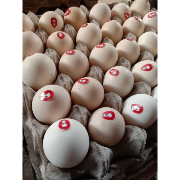 Jual Telur Ayam Kampung Omega 10 butir | Shopee Indonesia