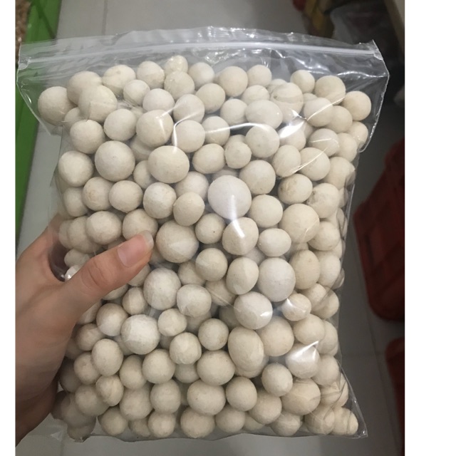 Jual KACANG KATOM PUTIH 500 GRAM | KACANG SUKRO PUTIH | KACANG ATOM ...