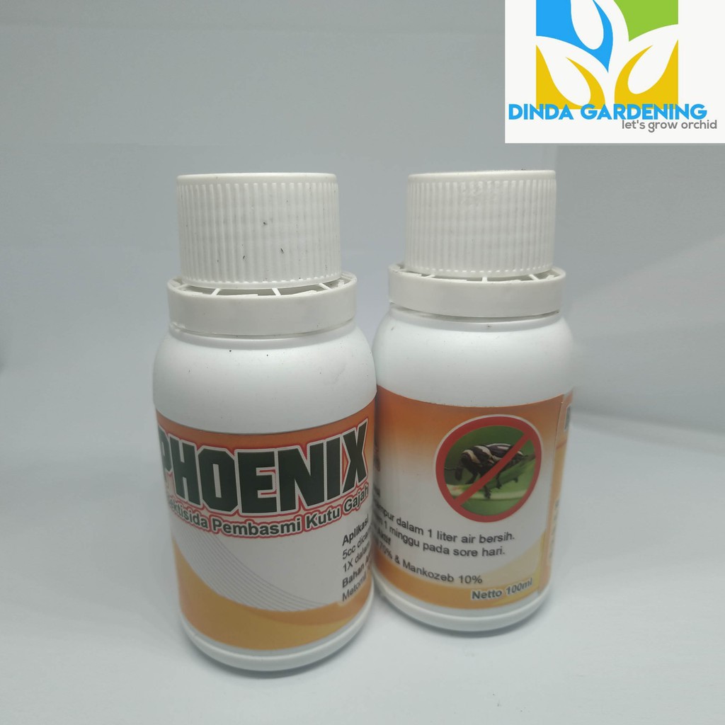 Jual Insectisida Pembasmi Kutu Gajah "Phoenix" | Shopee Indonesia