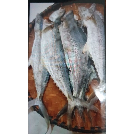 Jual ikan tenggiri beka 600 gram long ekor | Shopee Indonesia