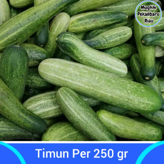 Jual Timun Mentimun Sayur 1/4 Kg | Shopee Indonesia