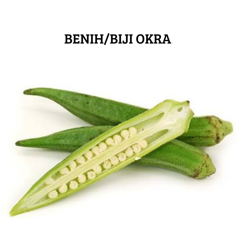 Jual Benih Biji Okra | Shopee Indonesia