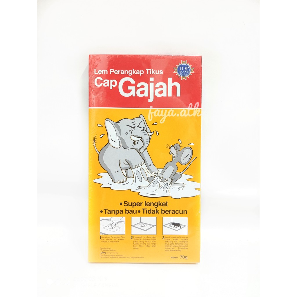 Jual LEM TIKUS CAP GAJAH LEM PERANGKAP TIKUS X-GLUE | Shopee Indonesia