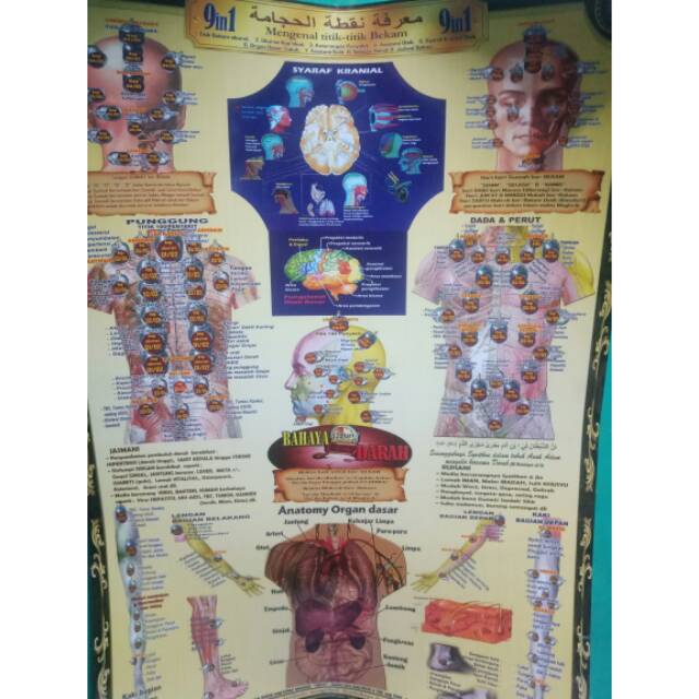 Jual Poster bekam 9in1 | Shopee Indonesia