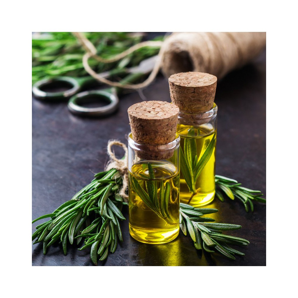 Jual RoseMary Essential oil / Minyak Rosmarin Per 10 ml | Shopee Indonesia