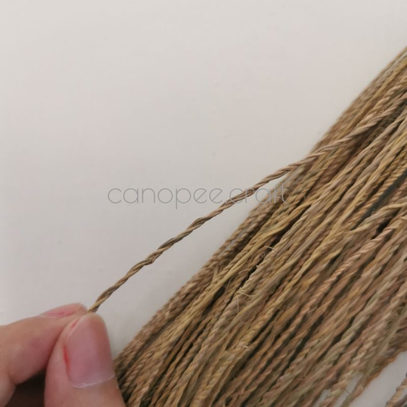 Jual Tali Kerajinan Alam Serat Daun Agel Tebal 1mm | Shopee Indonesia