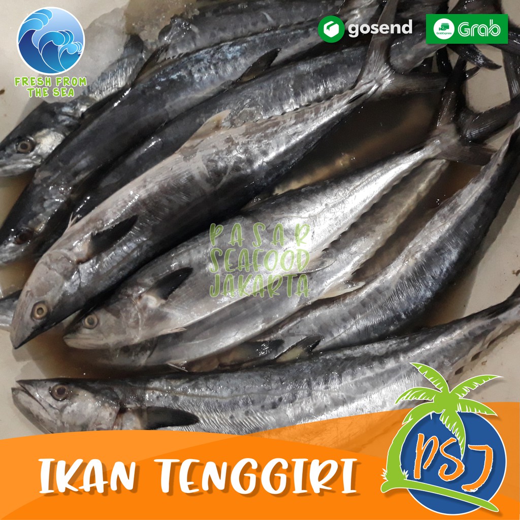 Jual Ikan Tenggiri Segar Fresh Tenggiri Batang Segar 1kg Shopee
