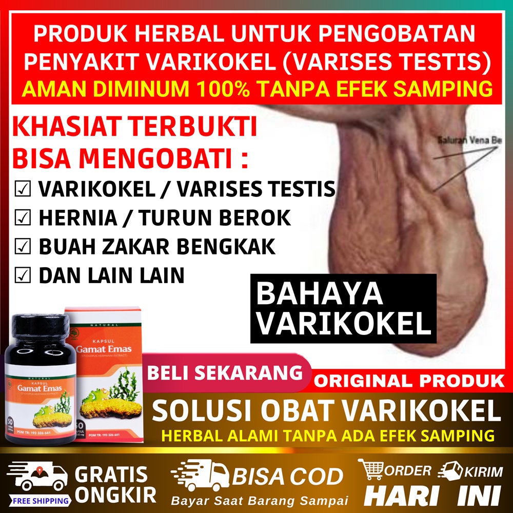 Jual Obat Varikokel Buah Zakar Bengkak Testis Besar Sebelah Kanan Kiri ...