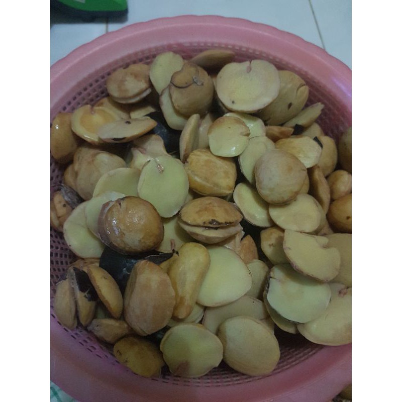 Jual jengki/ jengkol rebus | Shopee Indonesia