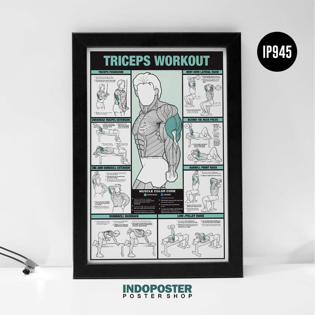 Jual Poster Gym Fitness Triceps Workout Body Building PIPIMOCI A3 45X30cm | Shopee Indonesia