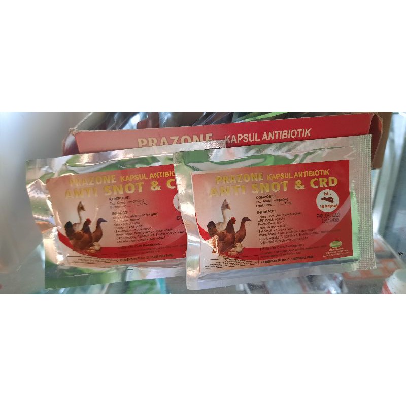 Jual Prazone kapsul antibiotik 10gr (obat anti snot) | Shopee Indonesia