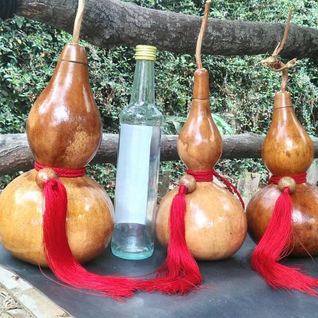 Jual Botol Minuman Labu Asli (Proses pengeringan 2 tahun ) | Shopee ...