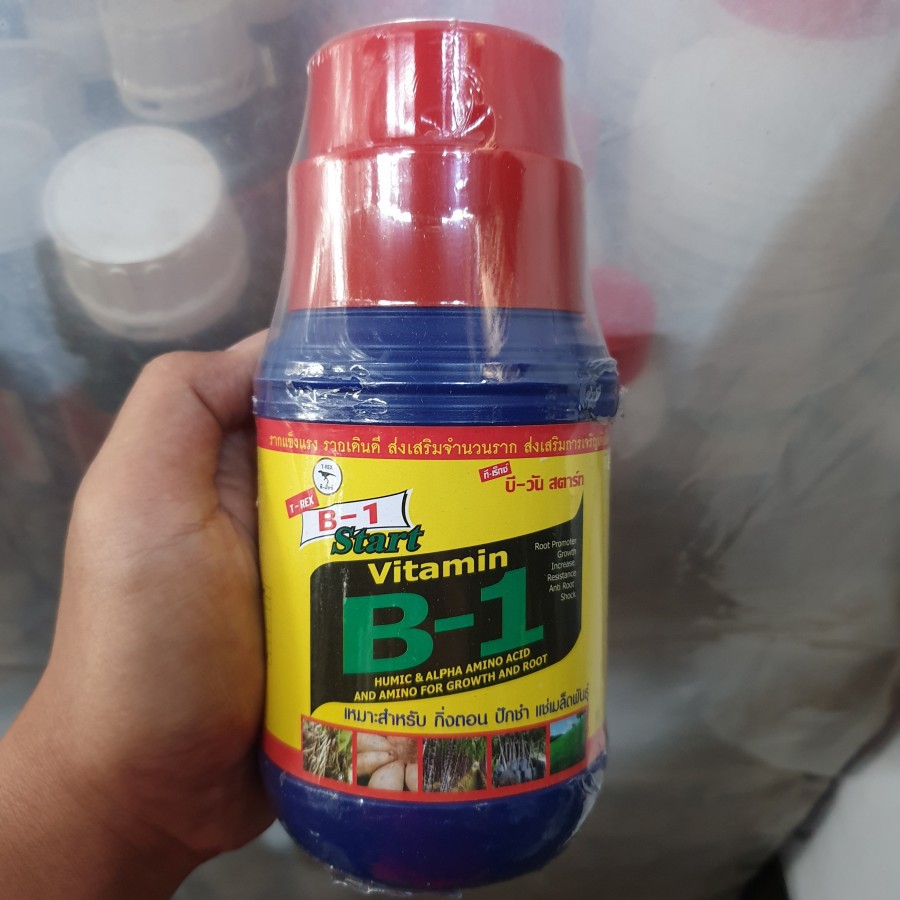 Jual B1 THAILAND 500ML (JAMINAN LEBIH BAGUS DRI YG LOKAL) | Shopee Indonesia