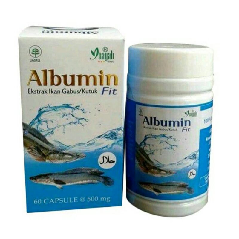 Jual Albumin Fit Extrak Ikan Gabus 60 Kapsul | Shopee Indonesia
