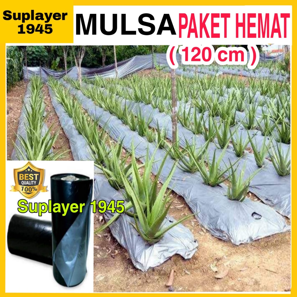 Jual PLASTIK MULSA ( 10m - 15m - 20m - 30m - 40m ) | Shopee Indonesia