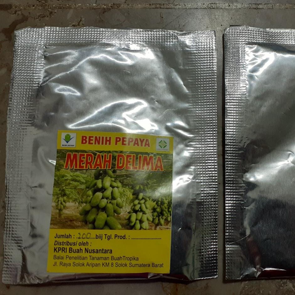Jual Benih Pepaya Merah Delima Isi 200 biji unggul (Balitbu) | Shopee ...