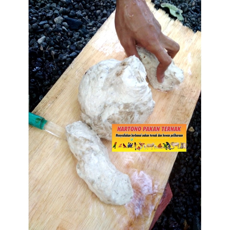 Jual Pulot / pulut burung kemasan -+ 1 KG pikat burung | Shopee Indonesia