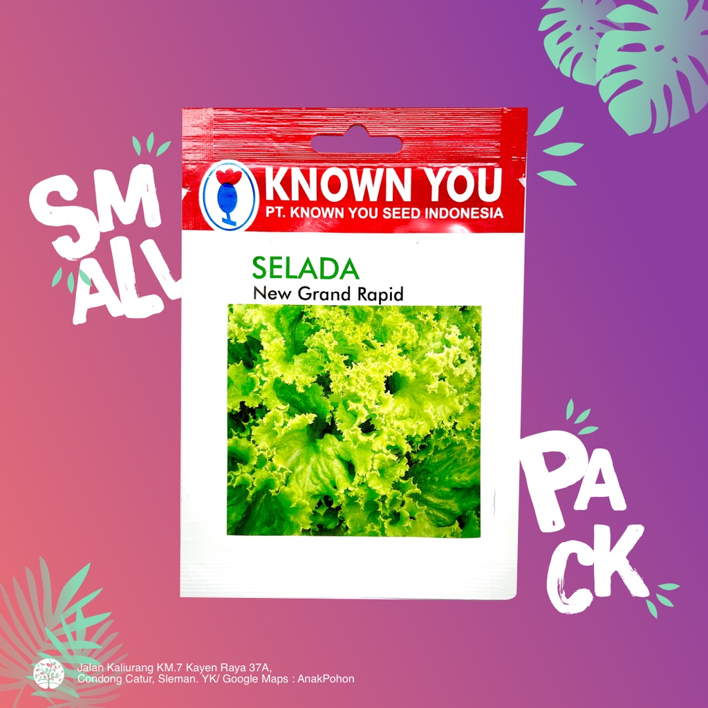 Jual (1 PACK) Benih Selada New Grand Rapid Hijau Keriting Hidroponik Seeds - Known You Seed KYS ...