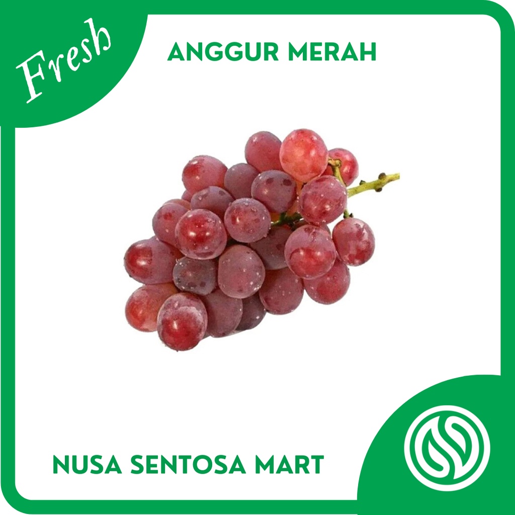 Jual Buah Anggur Merah Segar – 500g | Shopee Indonesia