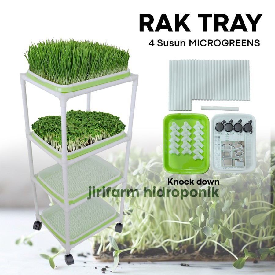 Jual Jirifarm Hidroponik Rak Tray Microgreens GPS04 4 susun 33x27x80 Cm ...