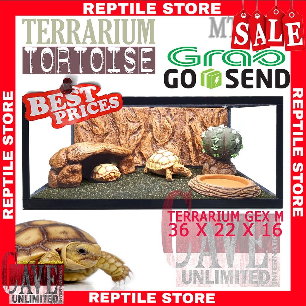 Jual MT008G KANDANG SULKATA SULCATA KURA KURA DARAT TERRARIUM TORTO ...