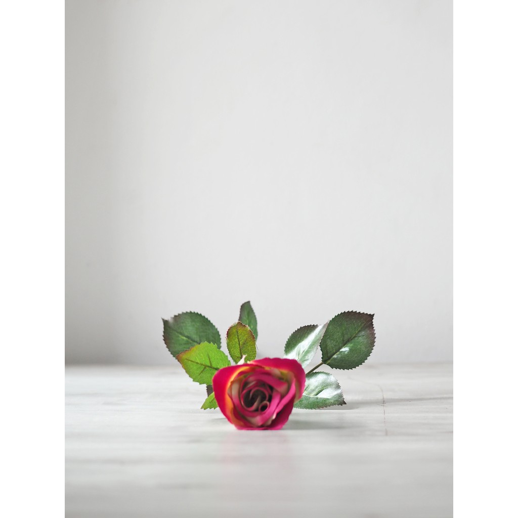 Jual Bunga Mawar Artificial Gradasi Kecil 1 Tangkai (F503SC) | Shopee ...