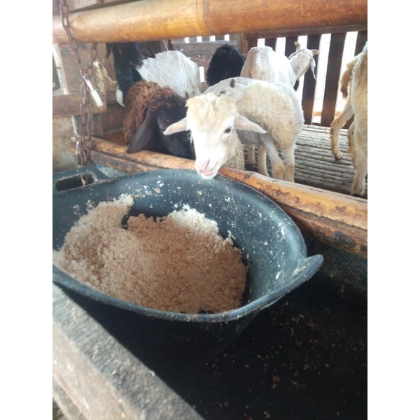 Jual ampas tahu fresh 1kg | Shopee Indonesia