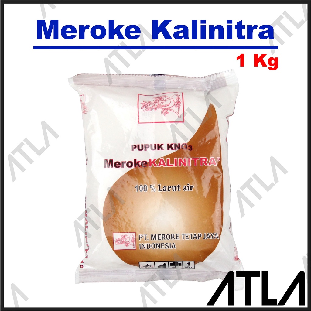 Jual Pupuk Meroke Kalinitra Prill Kalium Nitrat Nutrisi KNO3 Tanaman ...