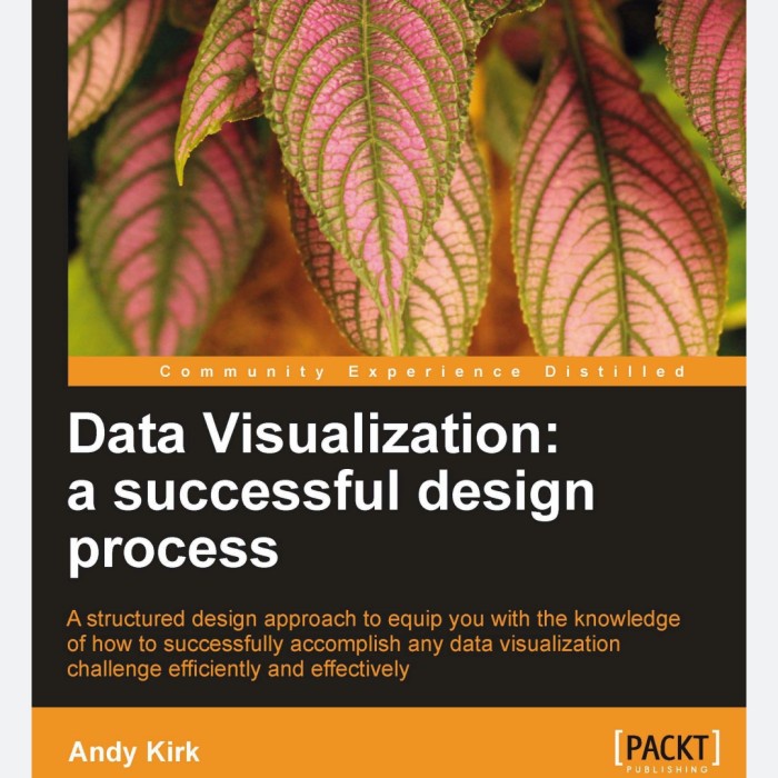 Jual Data Visualization : A Successful Design Process by Andy Kirk ...