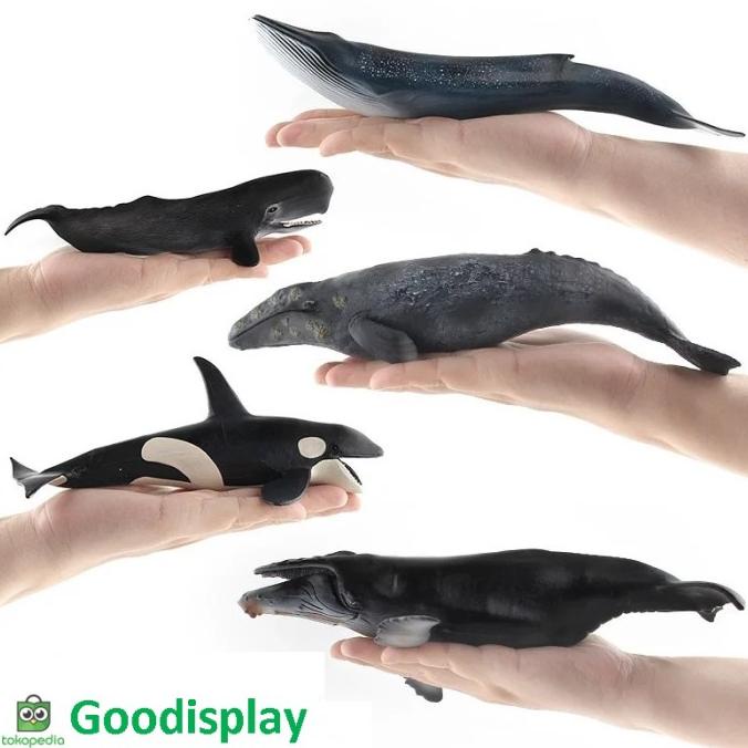 Jual aneka mainan hewan laut ikan paus hiu orca sperm blue whale shark ...