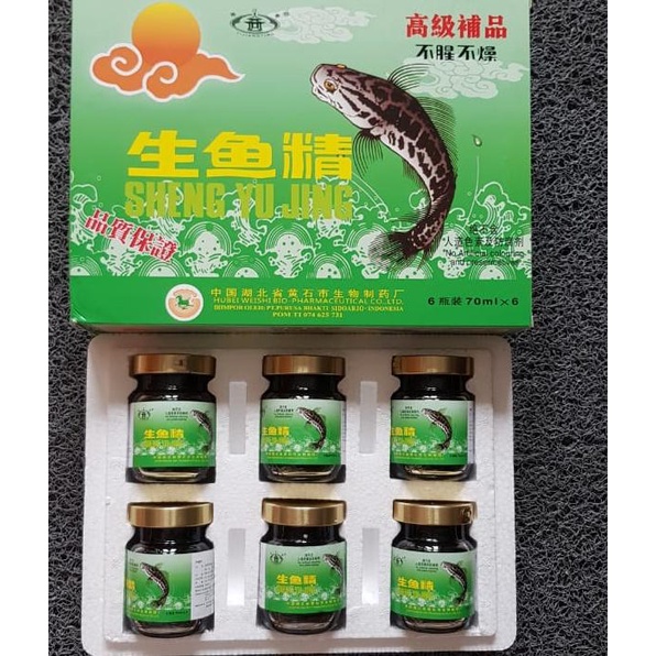 Jual SHENG YU JING 6 Botol SARI IKAN GABUS KUTUK | Shopee Indonesia
