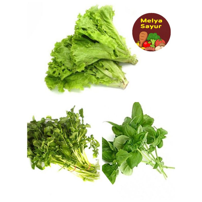 Jual Selada keriting 500 gr / Seladan bokor 500gr / selada air 1 ikat ...