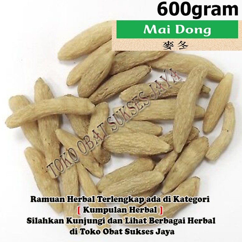 Jual [600gram - Grade A] Mai Men Dong / Mai Dong / Ma Tung - Tuber ...
