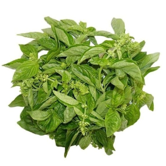 Jual Surawung/Kemangi Segar Per Ikat - Rasyifa | Shopee Indonesia