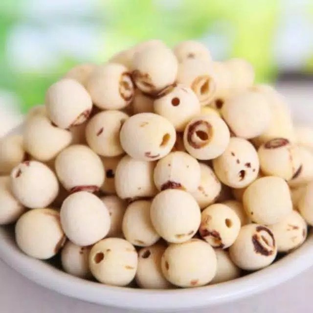 Jual Biji Teratai /White Lotus Seed/ Lian Zhi / Lienci / Bai Lian zi ...