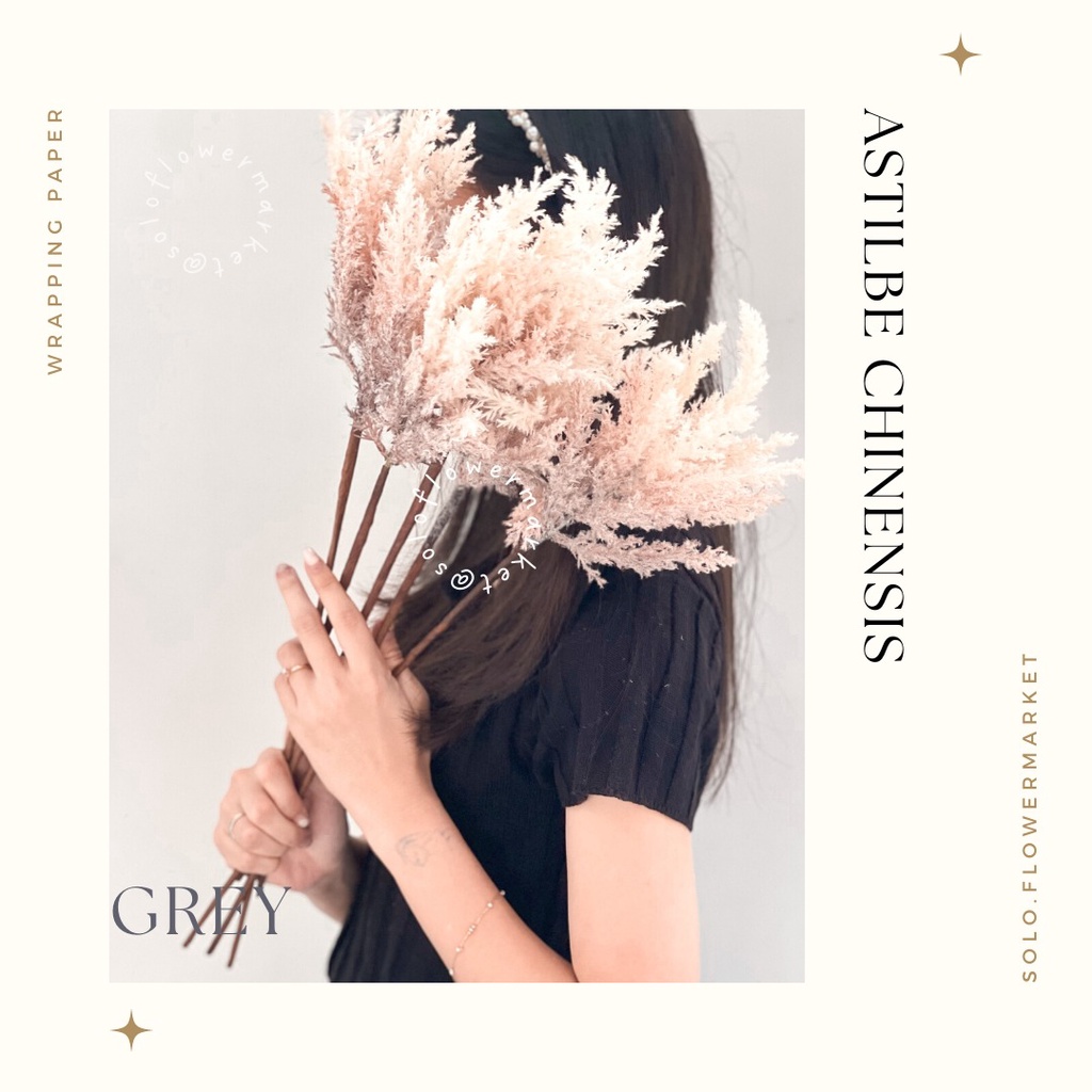 Jual ASTILBE CHINENSIS ARTIFICIAL Bunga Astilbe Tangkai Panjang ...