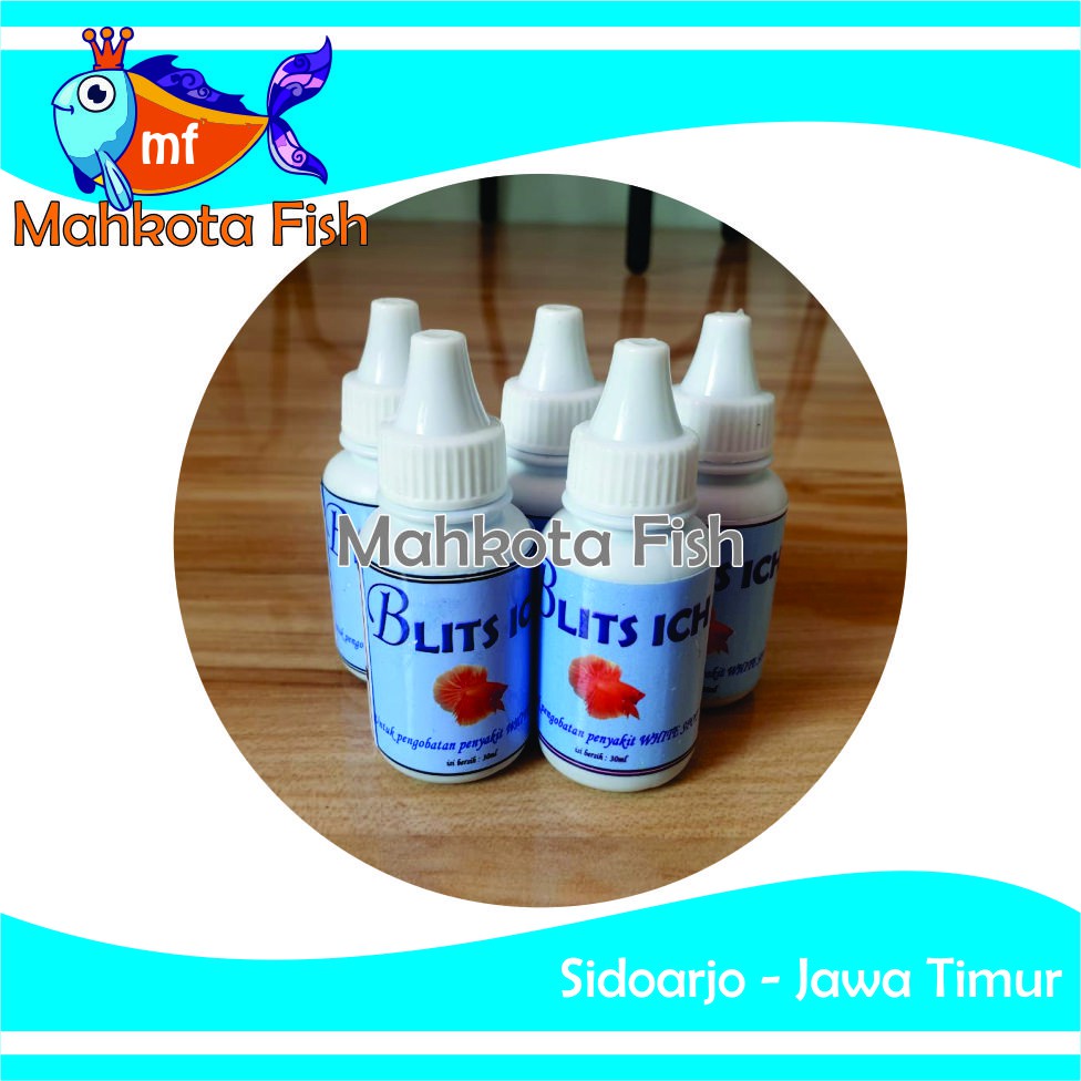 Jual Obat Biru (Blits ICH) | Obat Ikan Hias | Obat White Spot | Obat ...
