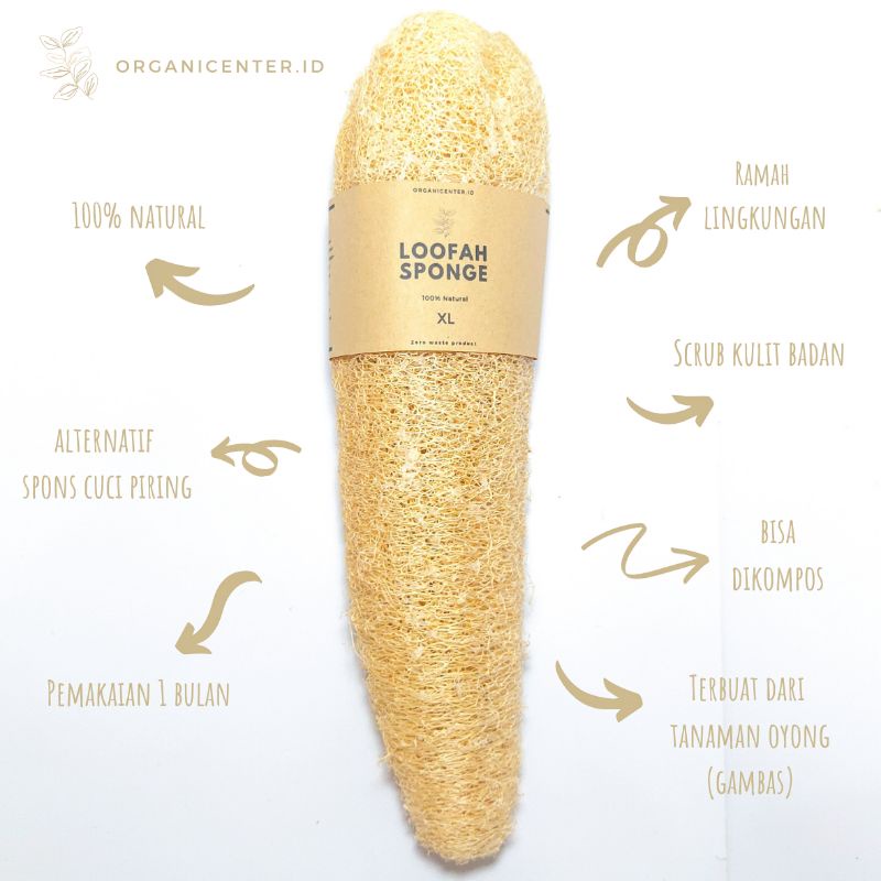 Jual Loofah Sponge XL / Spons Loofah Natural Alami / Spons Sabut Cuci ...