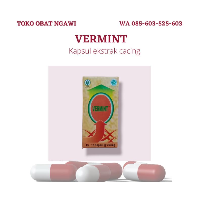Jual VERMINT | VERMIN | OBAT CACING | KAPSUL CACING | OBAT TIPES ...