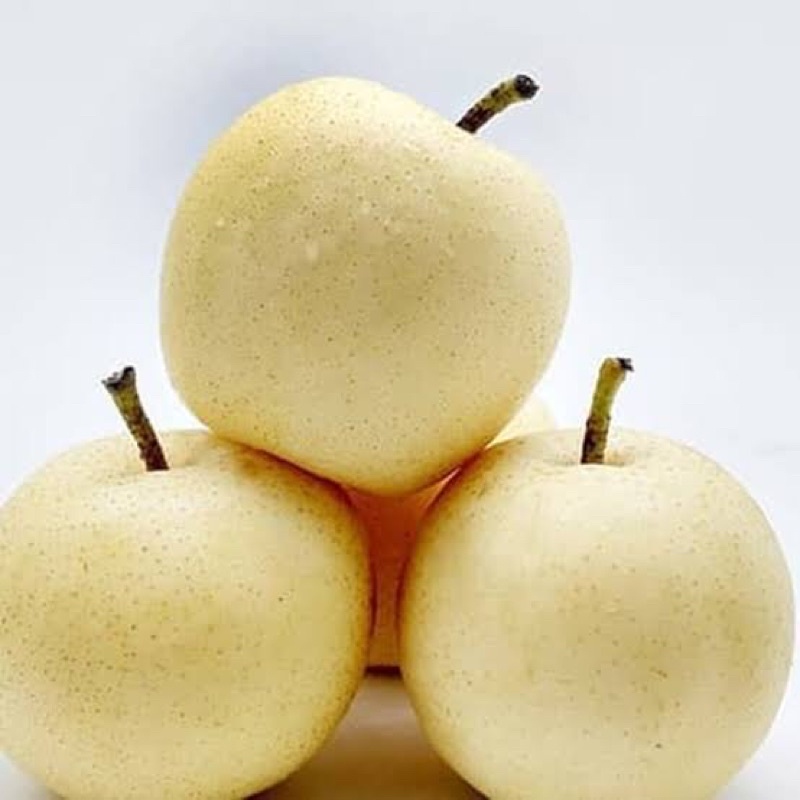 Jual Pear Pir Century Madu 1 kg Fresh | Shopee Indonesia