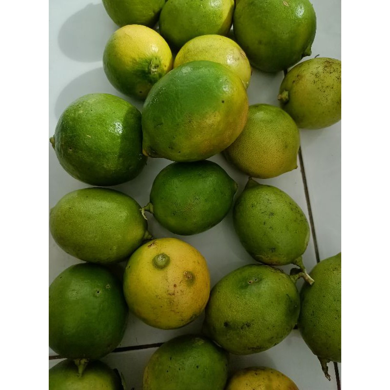 Jual jeruk lemon lokal | Shopee Indonesia