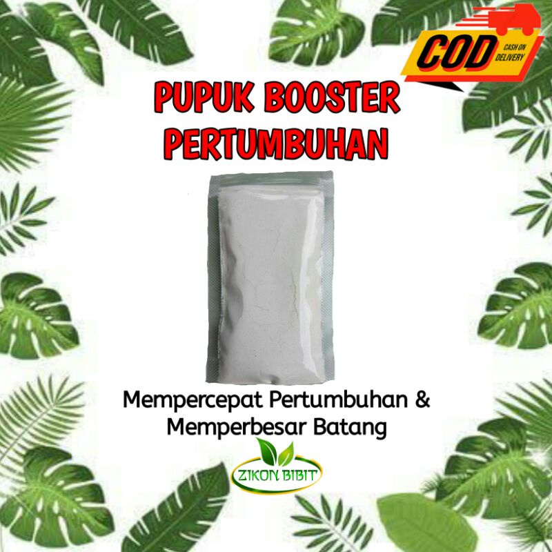 Jual Pupuk Booster Pertumbuhan & Memperbesar Batang sehingga tanaman ...