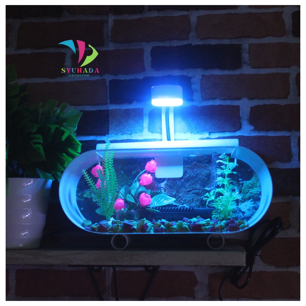 Jual [PROMO] TERMURAH ! Aquarium Mini Full set Dengan Pompa Dan Filter ...