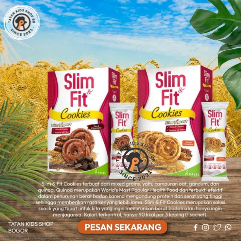 Jual Slimfit Cookies Coklat Raisin Cinnamon isi 10 × 22gram Wafer ...