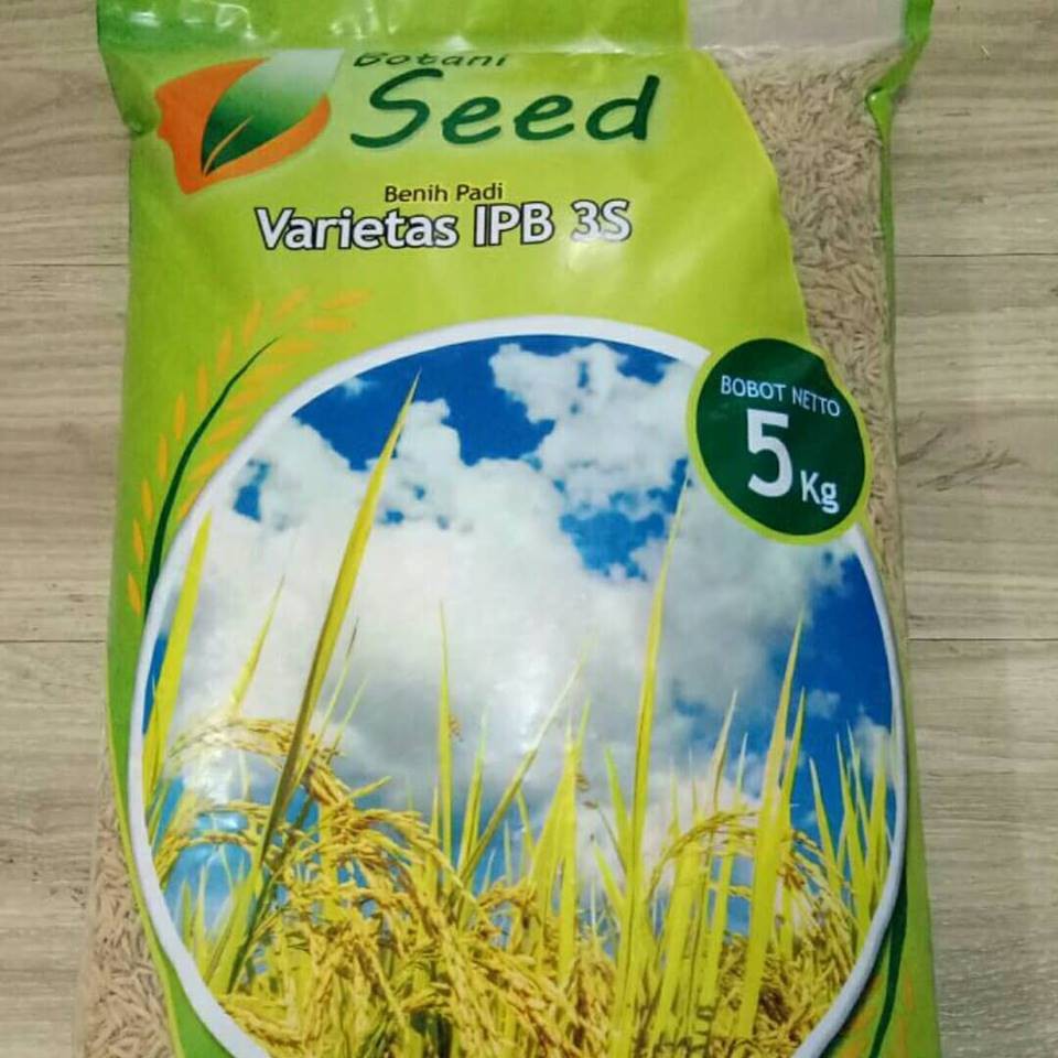 Jual Benih Padi Varietas IPB 3S (LABEL UNGU) / 10KG | Shopee Indonesia