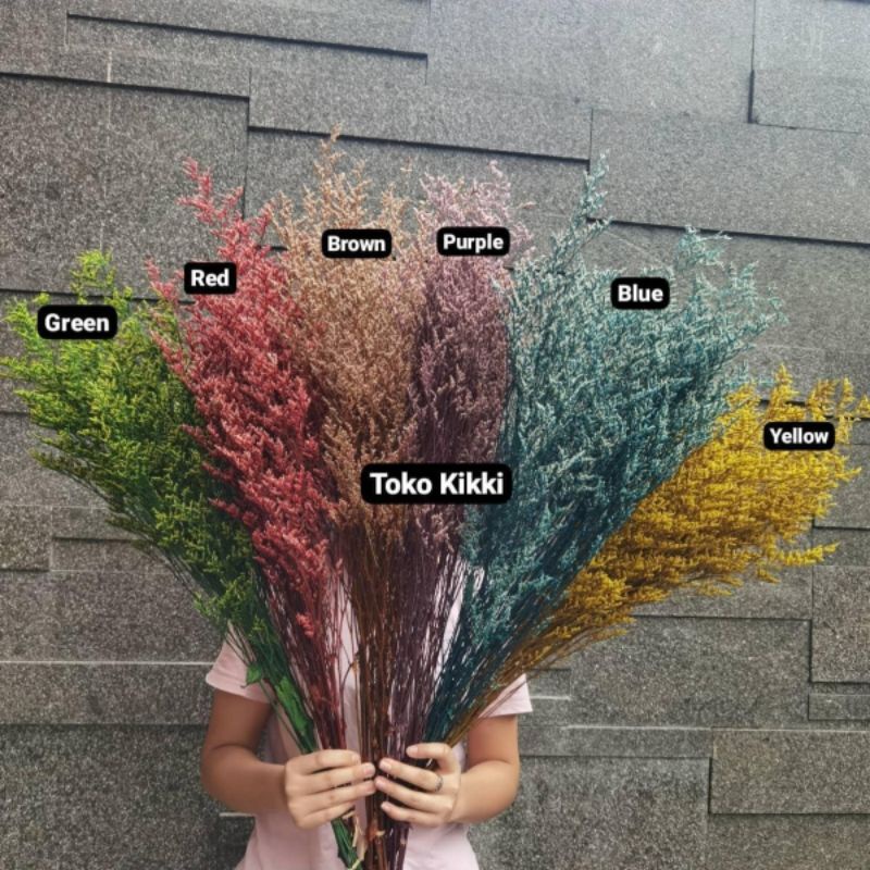 Jual 1 ikat Limonium Caspea Bunga Kering Dried Flower Bunga | Shopee ...