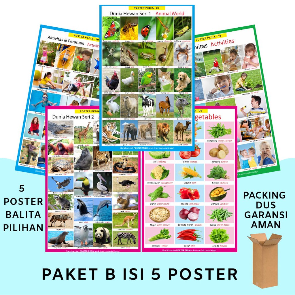 Jual The Brainy Playbox - POSTER EDUKATIF Mengenal HEWAN, AKTIFITAS ...