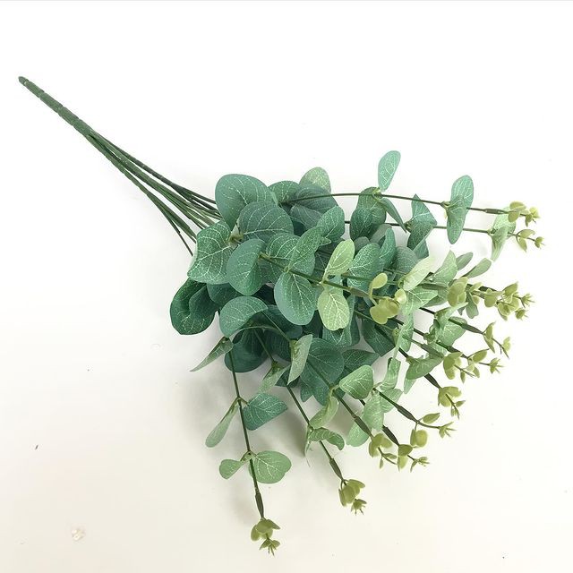 Jual DAUN SILVER DOLLAR - ekaliptus eucalyptus bunga tangane hand ...