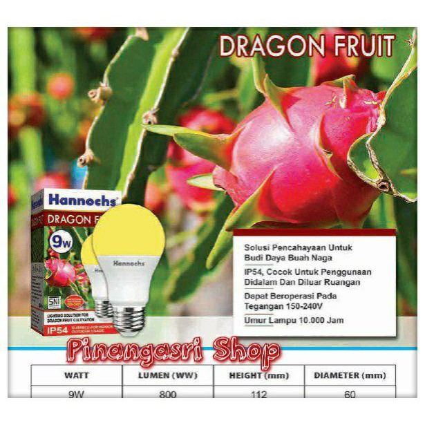Jual Paket Lampu LED Buah Naga Hannochs 9W Dragon Fruit 9watt Kuning HEMAT ENERGI | Shopee Indonesia